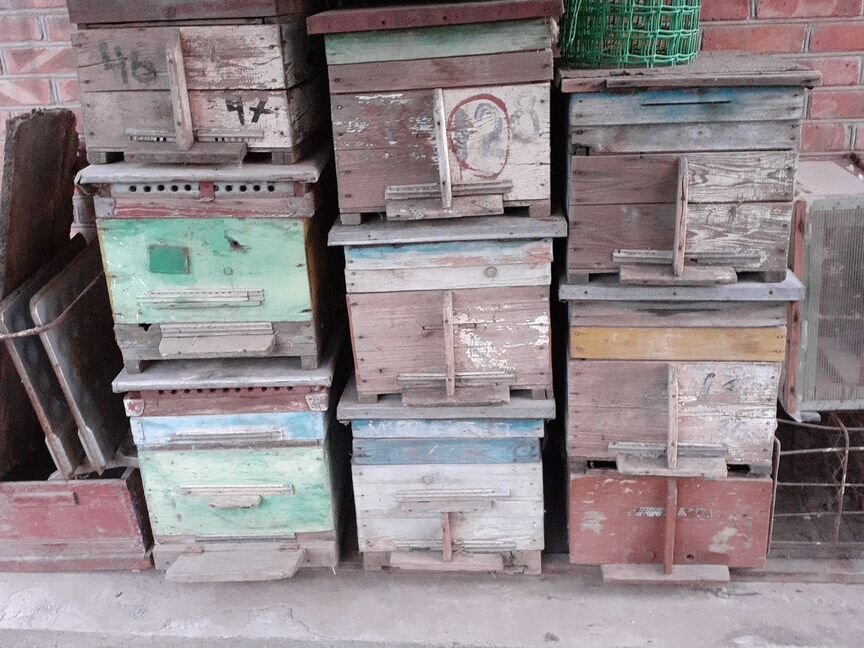 Ульи для отводков