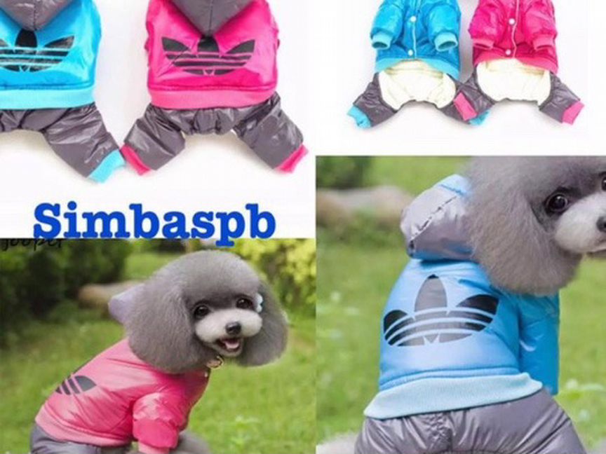 Новый костюм для собак adidas