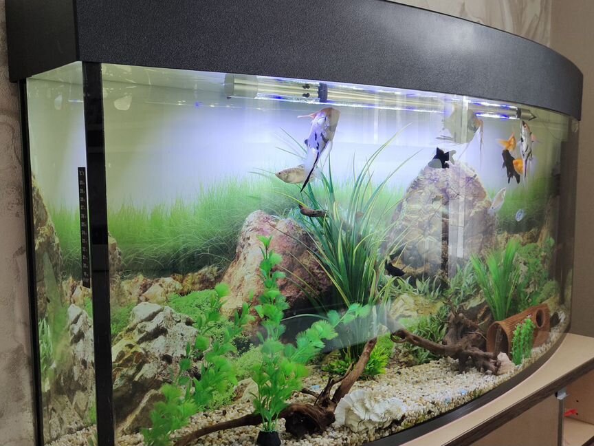 Аквариум с тумбой