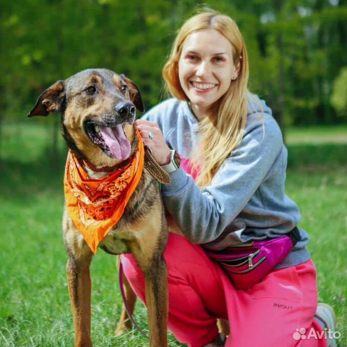 Красавчик Август ищет дом