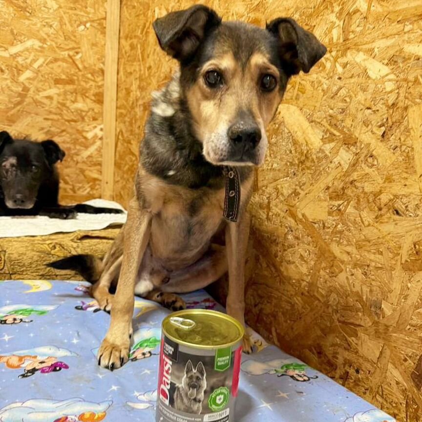 Вкусная еда-единственная радость для старичка Ганс