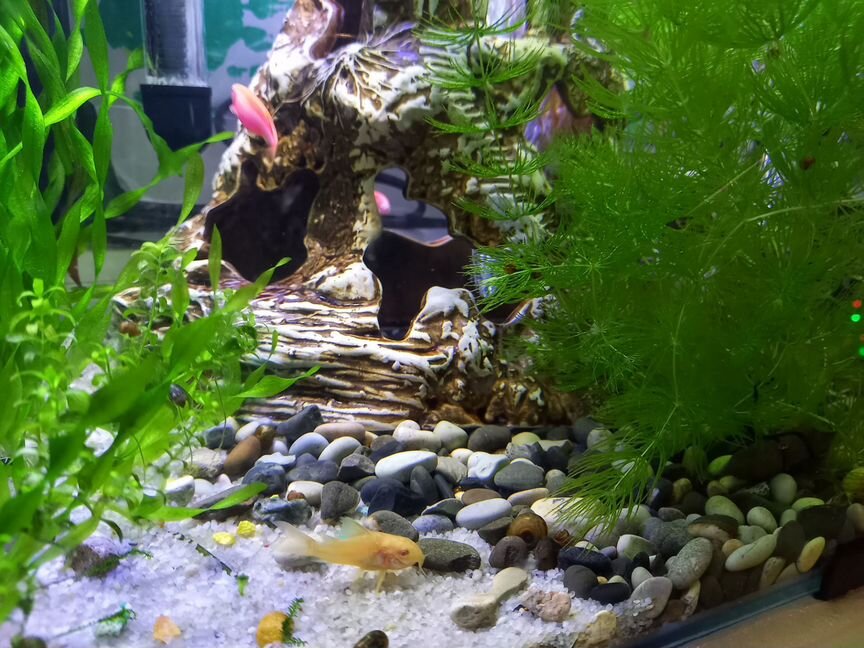 Аквариум комплект