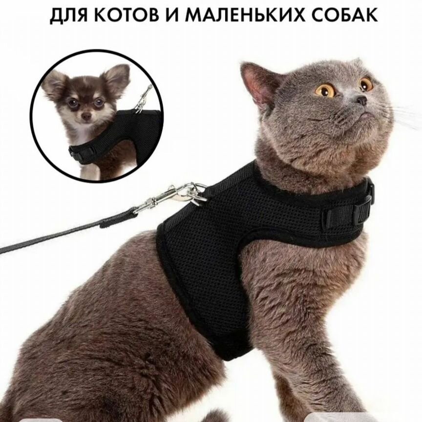 Шлейка для кошек и маленьких собак