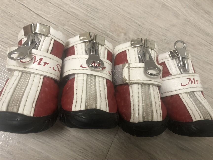 Ботиночки для собак