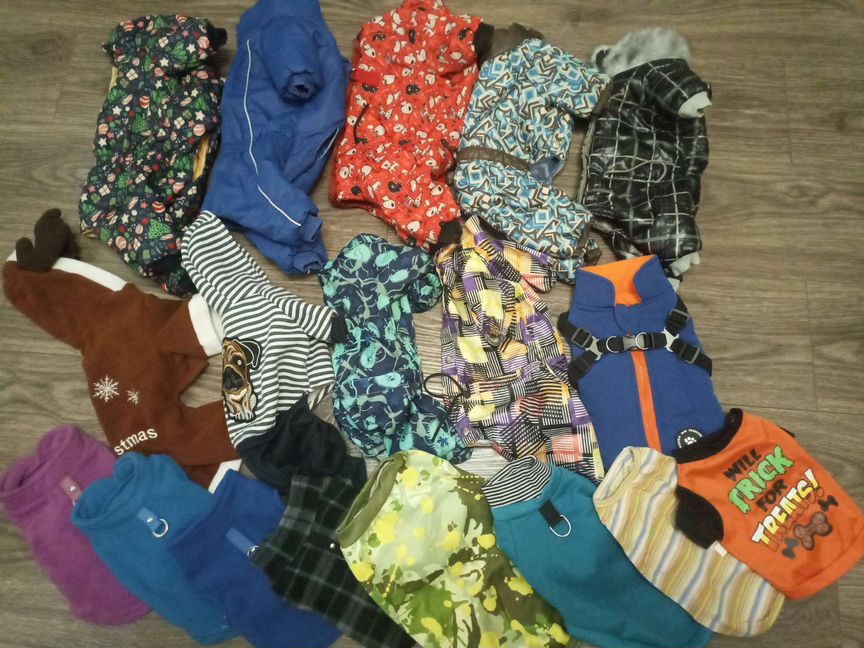 Одежда для собаки