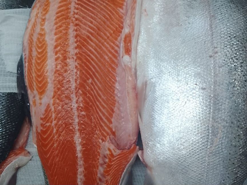 Филе форели