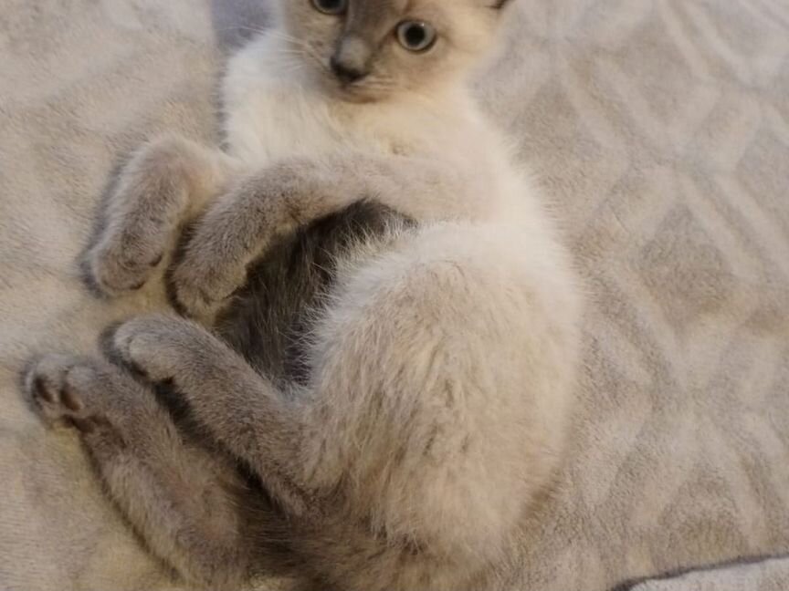 Малышка 2 месяца