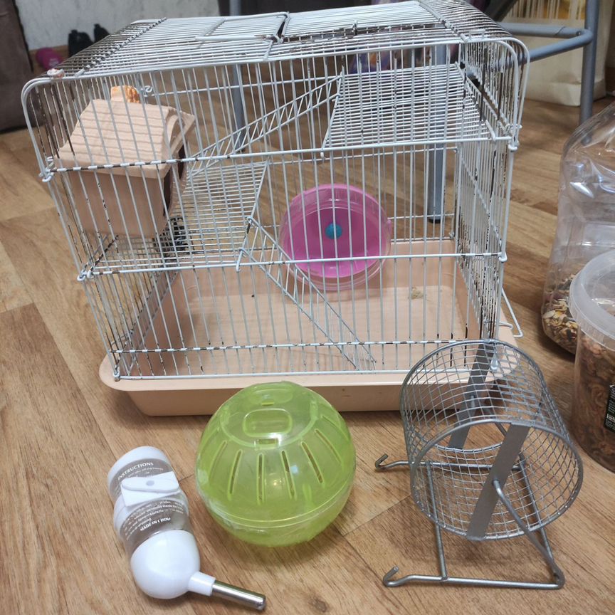 Клетка и всё нужное для хомяка