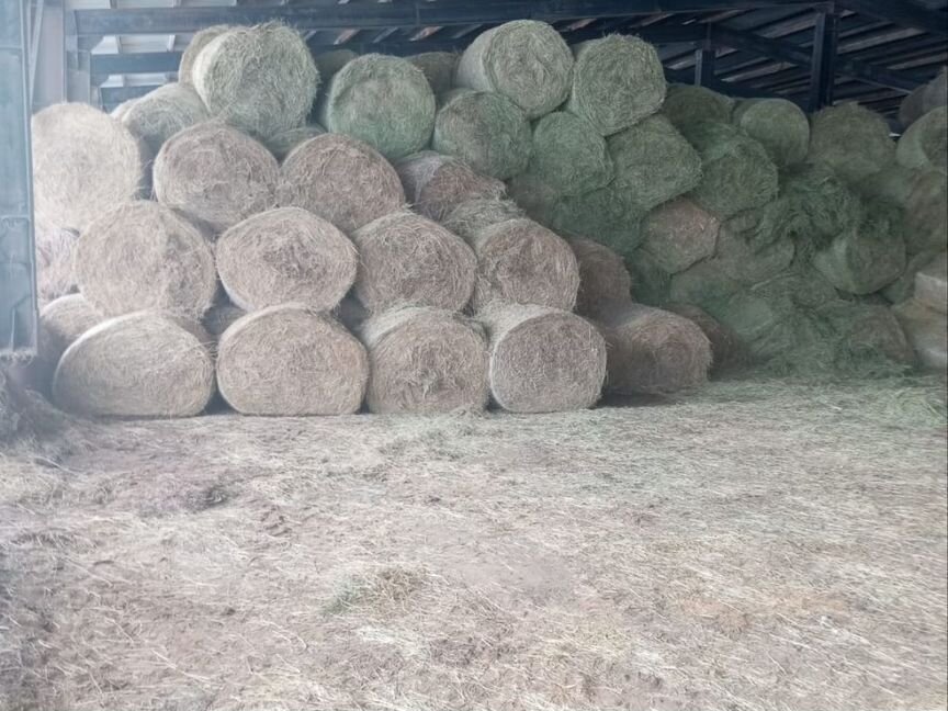 Сено в рулонах