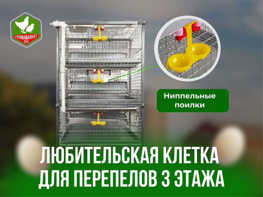 Клетка на 75 перепелов для дома