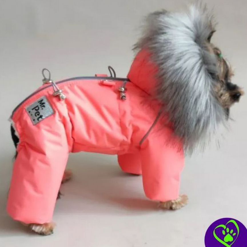 Одежда для маленьких собак xs