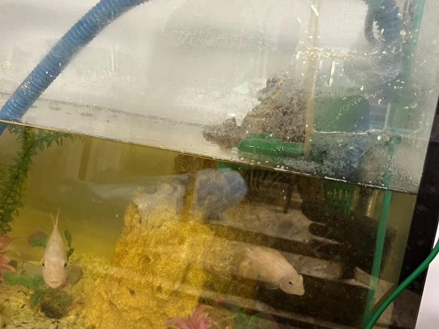 Аквариум с рыбками и тумбой