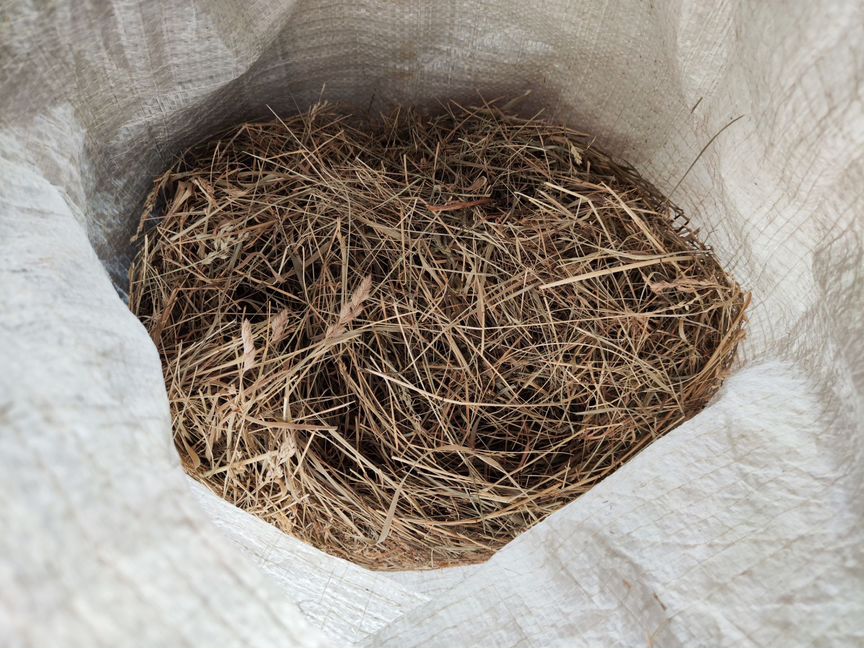 Сено солома