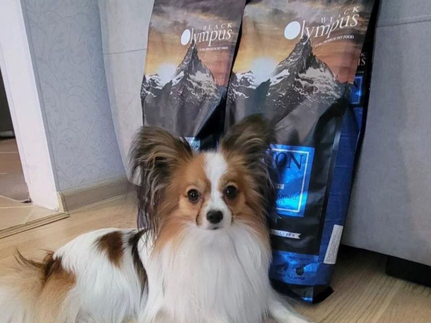 Корм для собак крупных пород Black Olympus