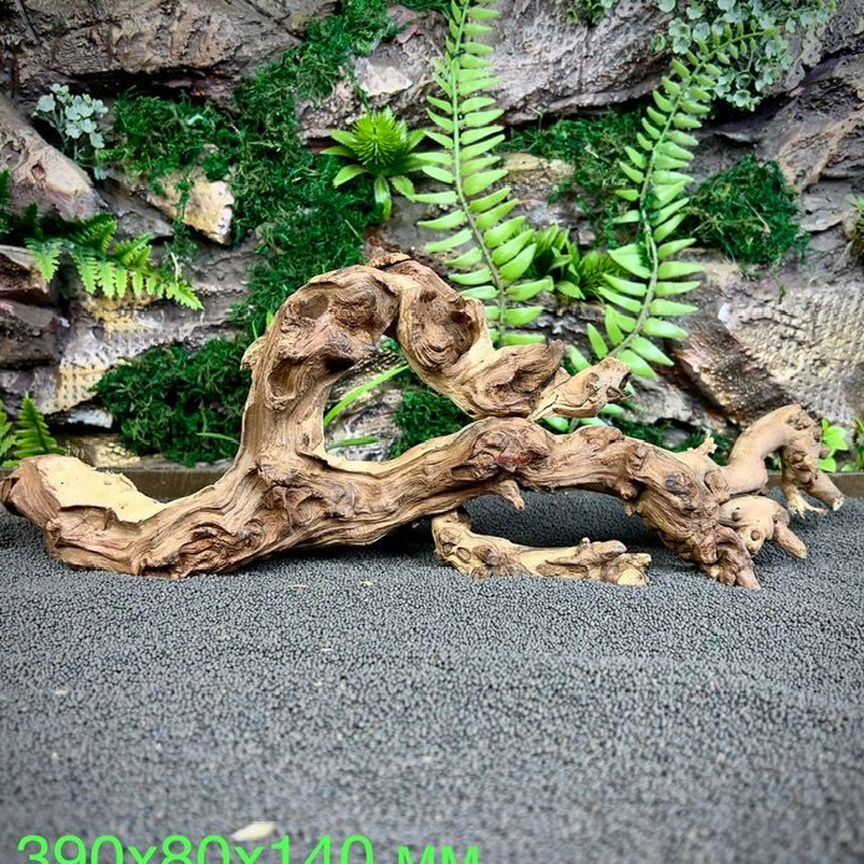 Коралловое дерево/Coral Wood кд687