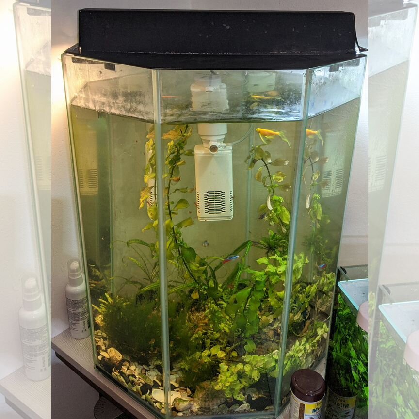 Аквариум граненый
