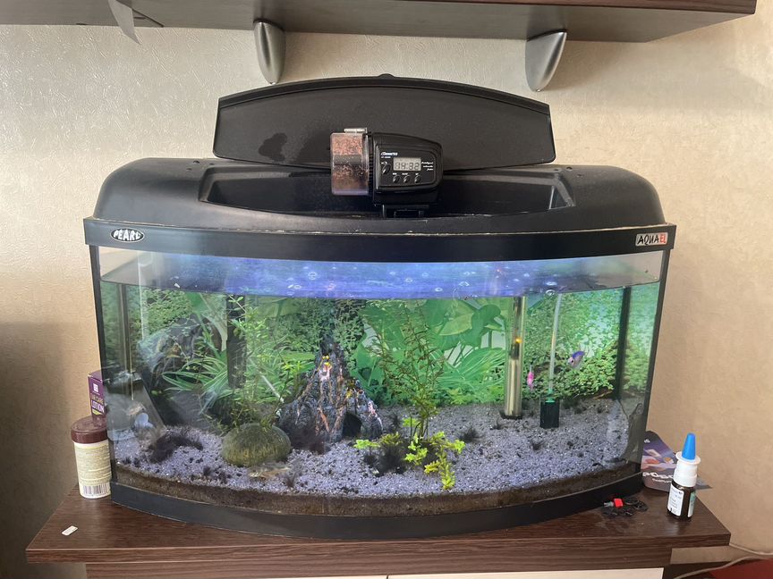 Аквариум aquael pearl 60см