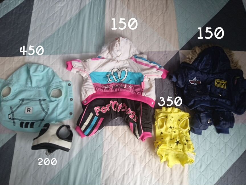 Одежда для маленьких собак