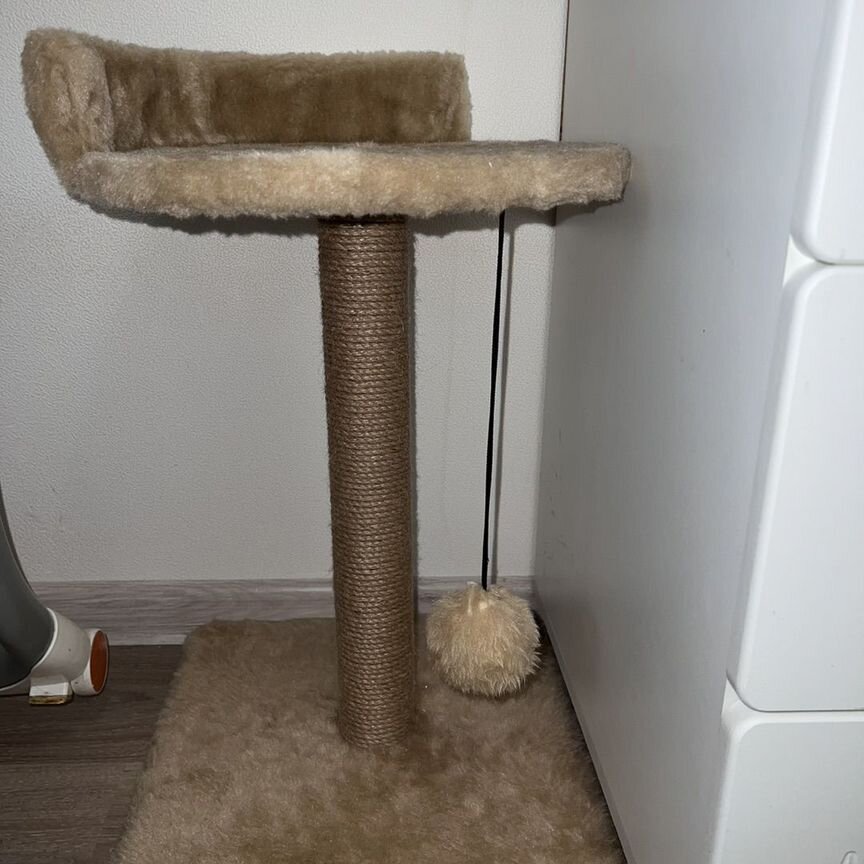 Когтеточка