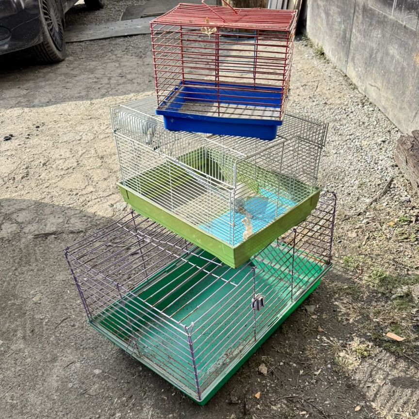 Клетки