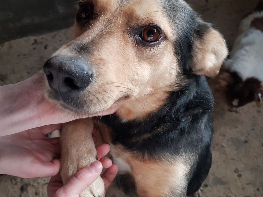 Мальчик красавчик ищет дом