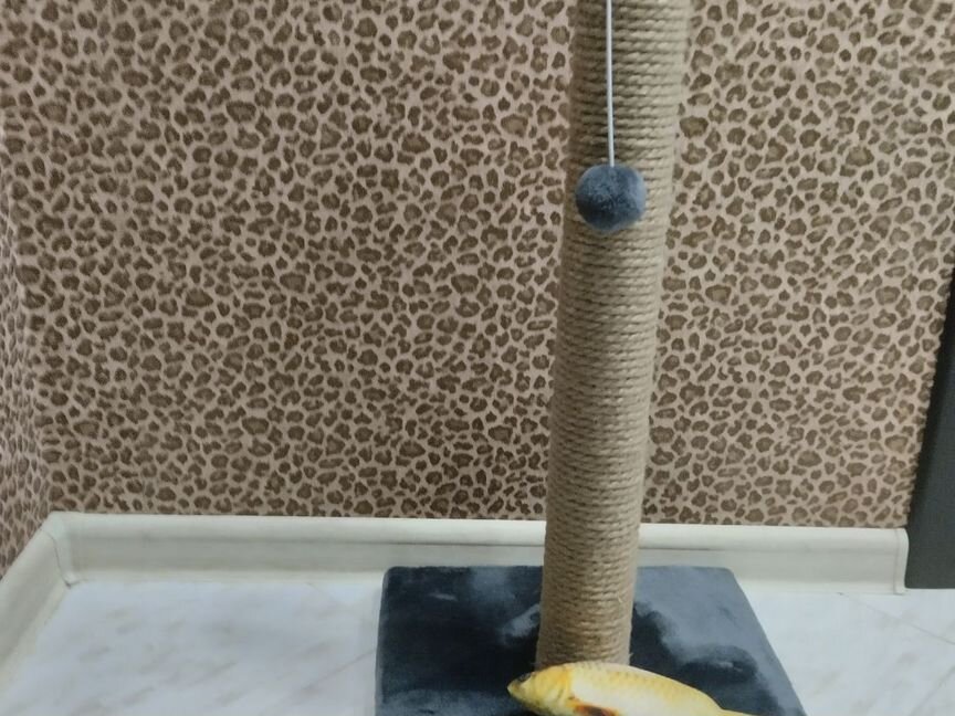 Когтеточка для кошек