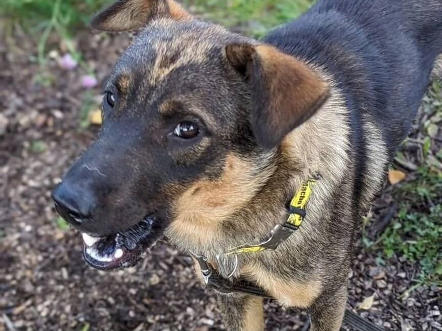 Крутой парень в добрые руки