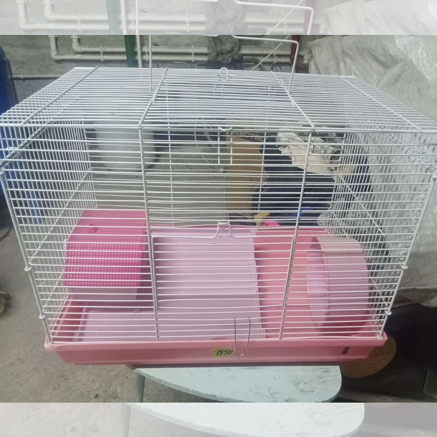 Клетка для грызунов большая
