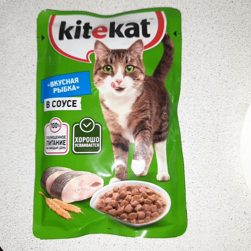 Сухой и влажный корм для кошки