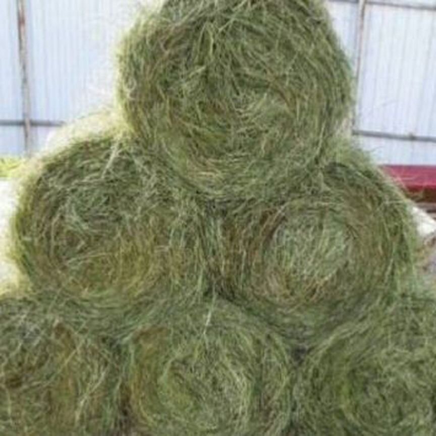 Сено в мини рулонах 2024