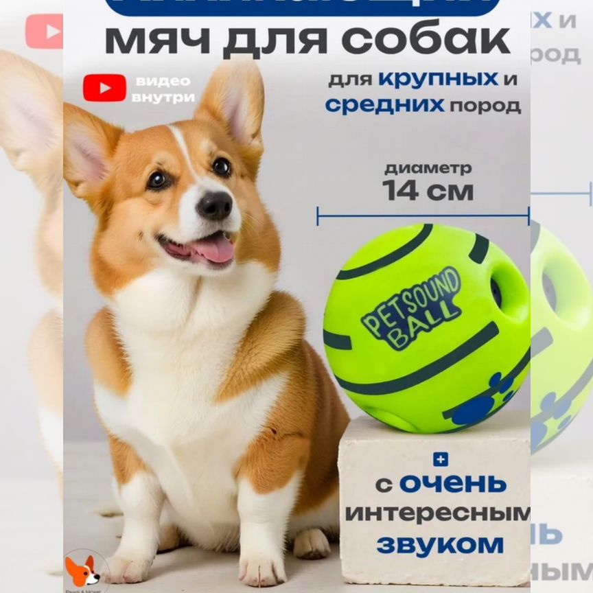 Мяч для собак