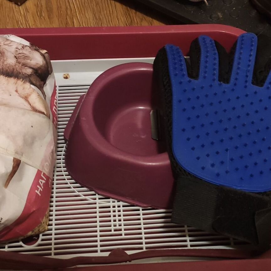 Лоток для кошек (отдам)