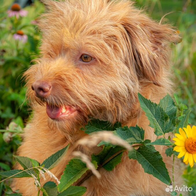 Девочка Мишель, 1 год