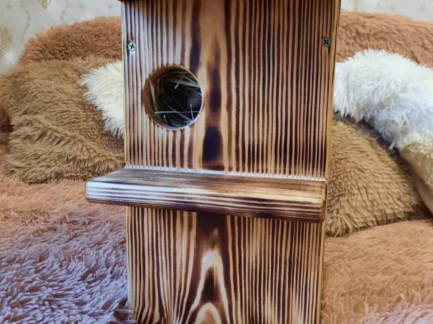 Бельчатник