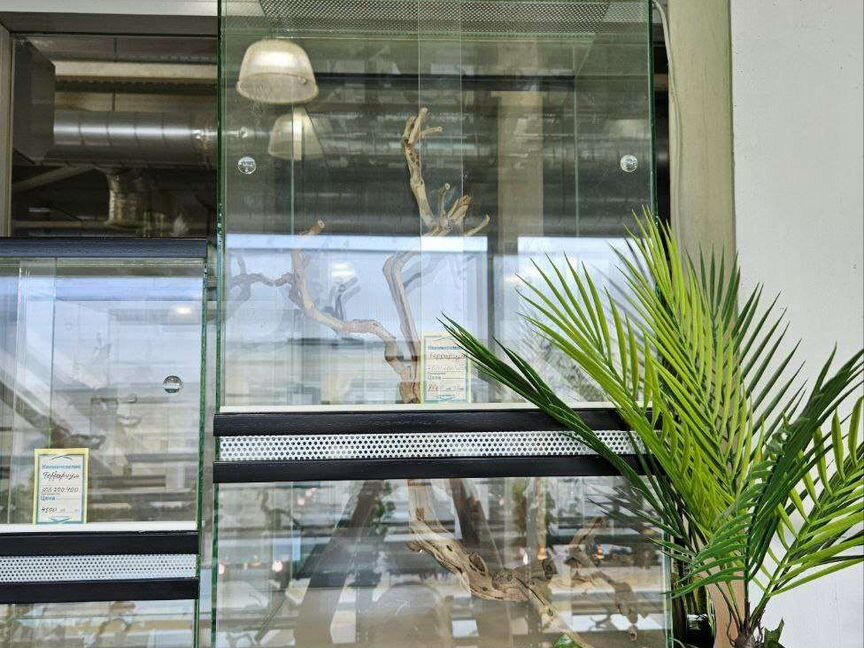 Террариум в рассрочку