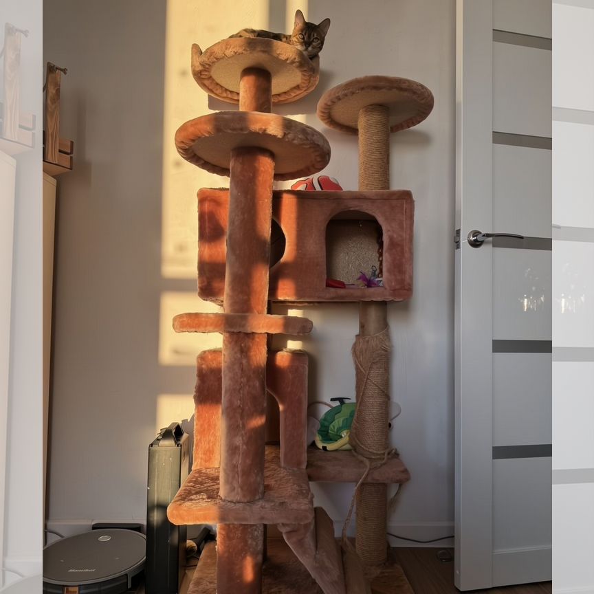 Домик когтеточка