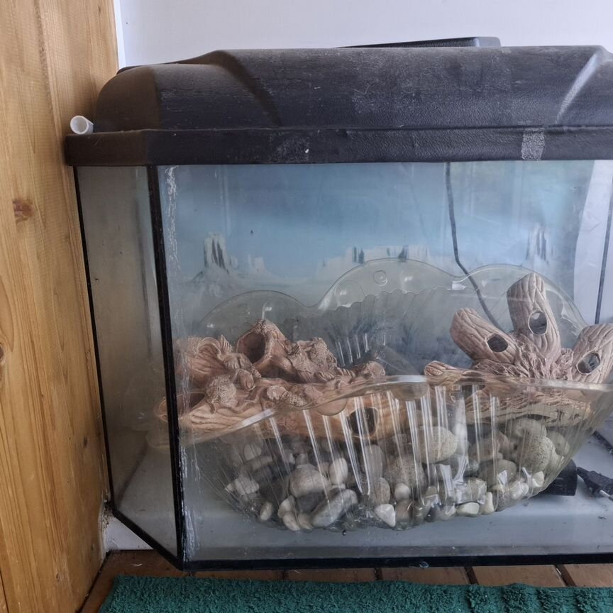 Аквариум