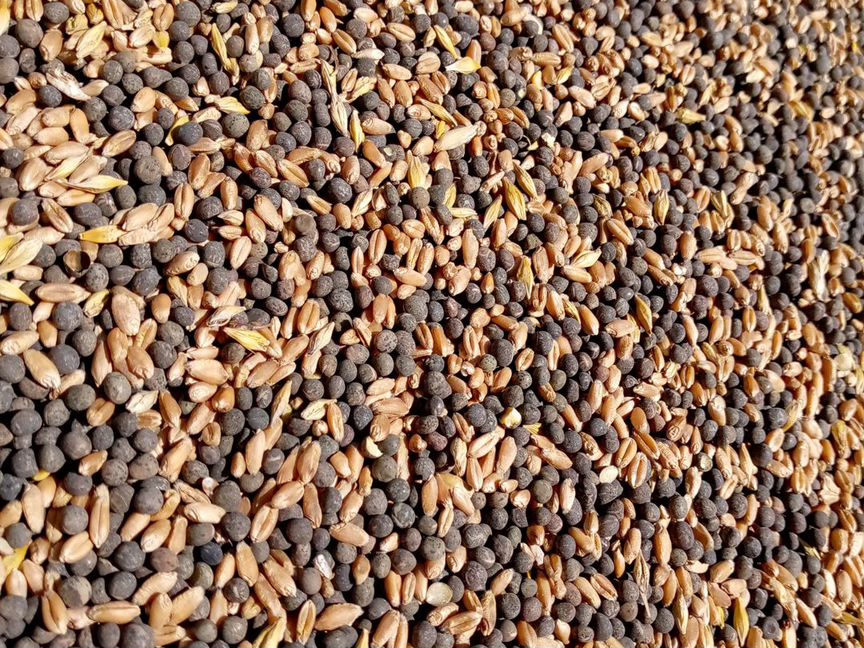 Зерновая смесь