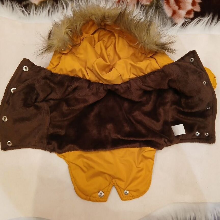 Куртка для собак мелких пород