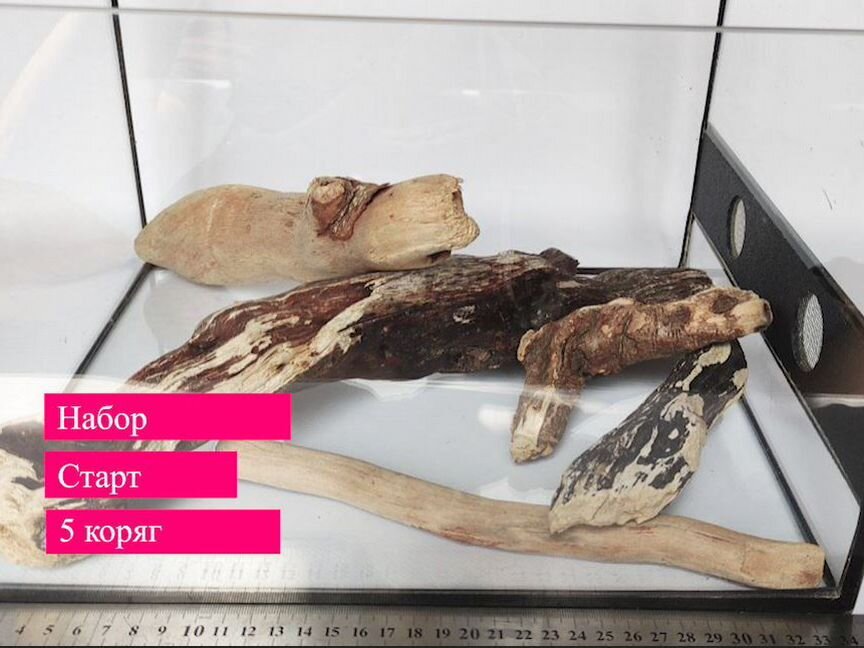 Набор Старт для террариума/флорариума/декора