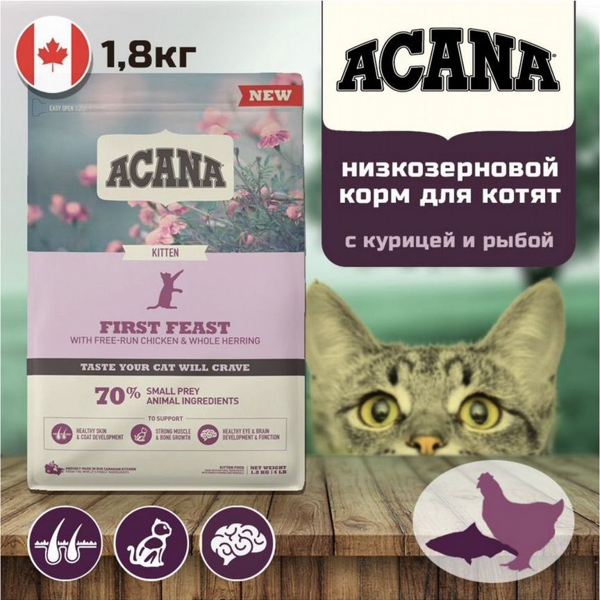 Acana first feast CAT корм низкозерновой для котят
