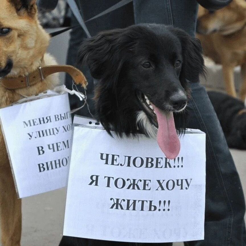 Человек я тоже хочу жить