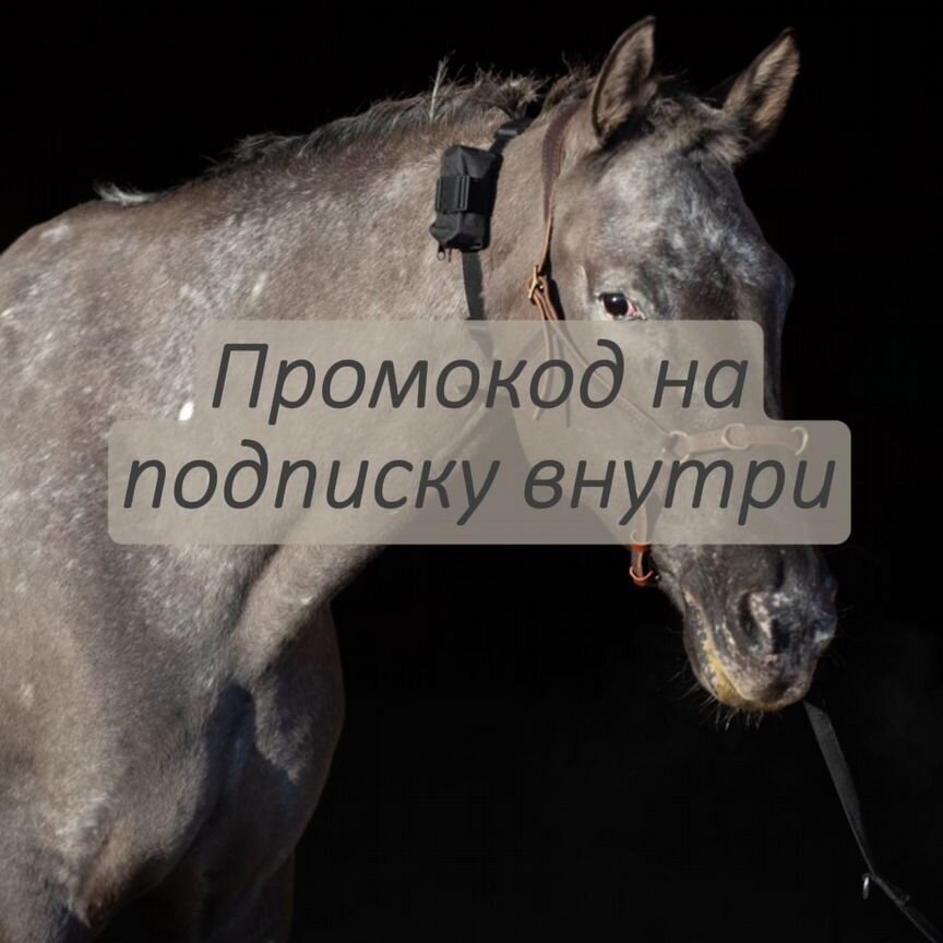 Ошейник для крс