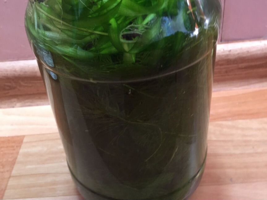 Роголистник