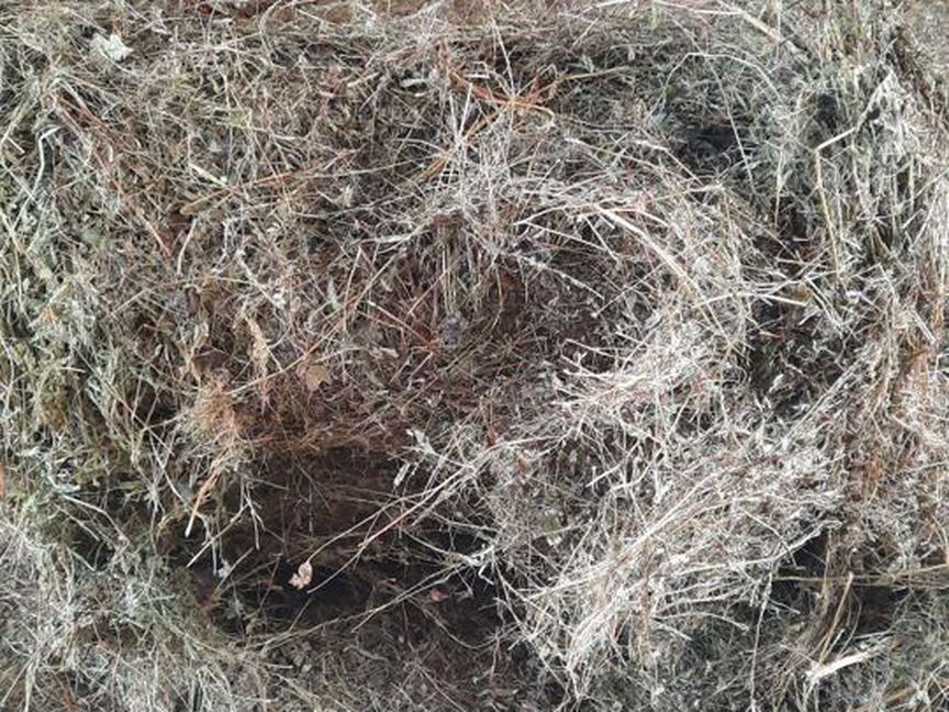 Сено в рулонах