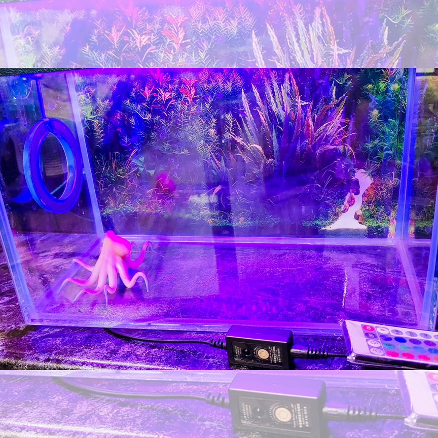 Аквариум с принадлежностями