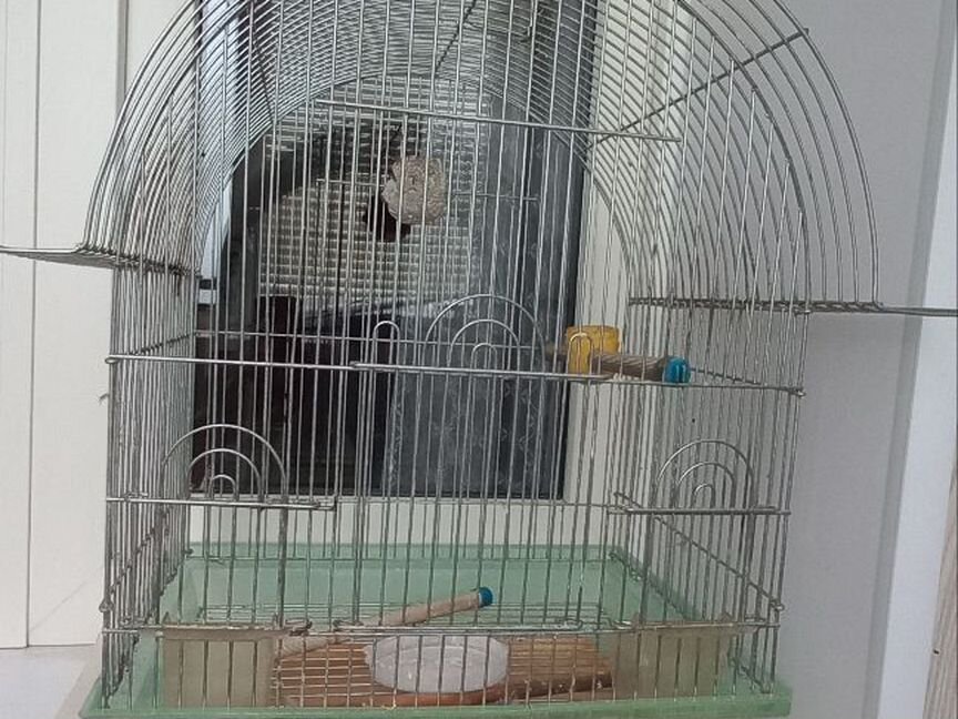 Клетка для птиц