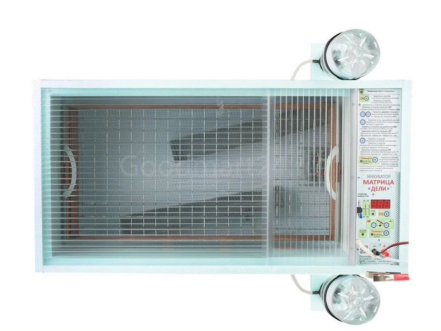 Инкубатор матрица дели