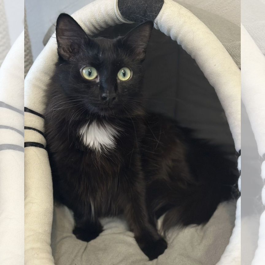 Нина в самые заботливые руки