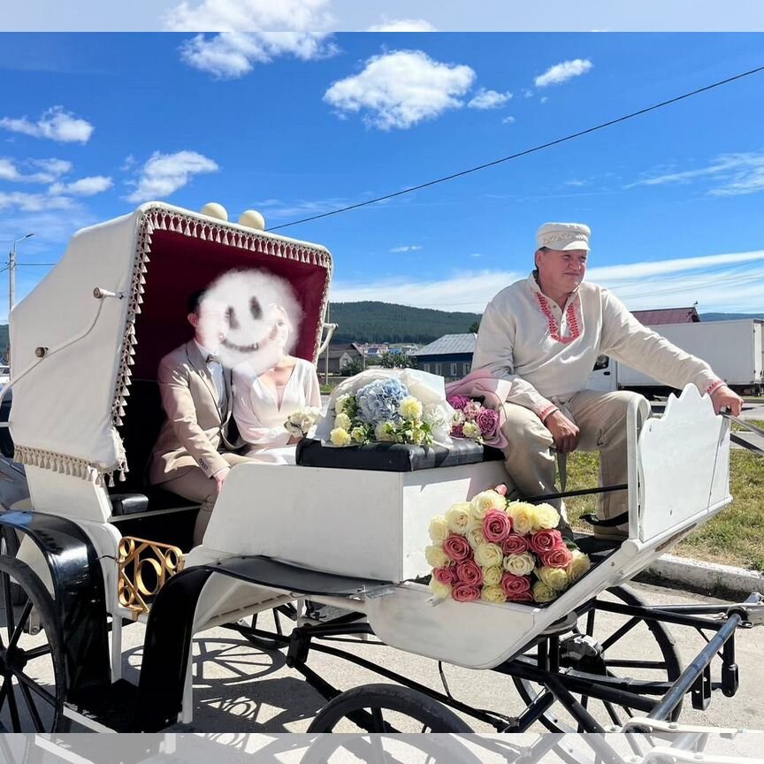 Продам карету, сани, фаэтон